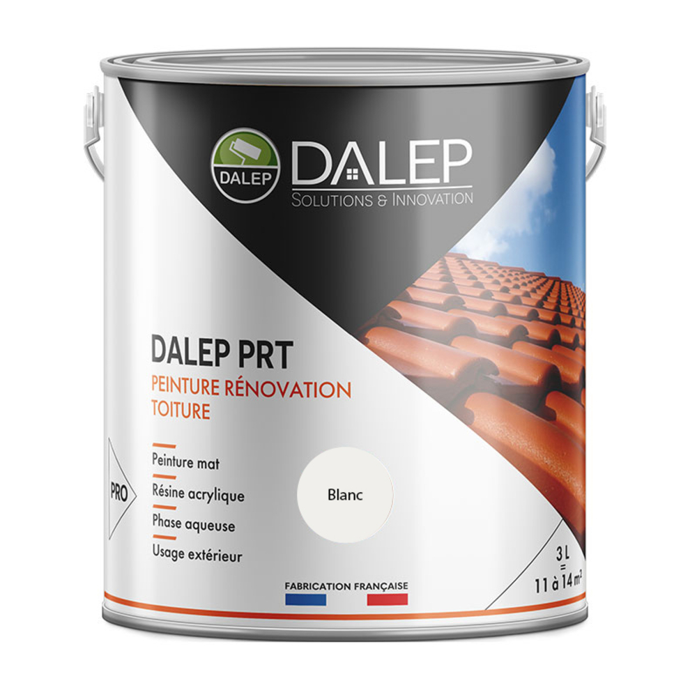 DALEP PRT BLANC Peinture Rénovation Toiture - Seau 3L - DAL...